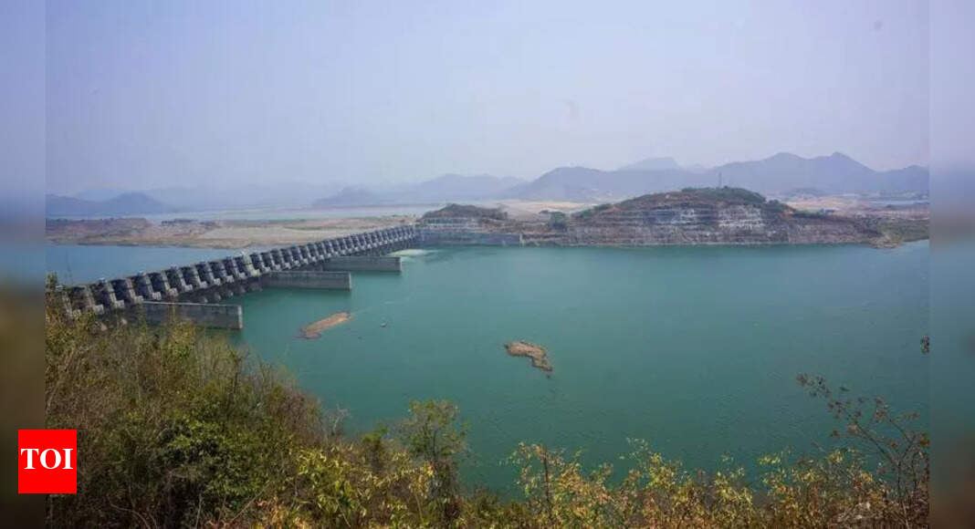 Andhra Pradesh government to set up Jala Harathi Corporation to handle ...