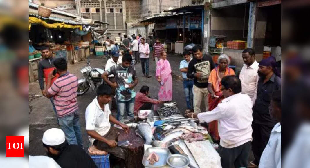 KMC plans modern fish markets | Kolhapur News - The Times of India