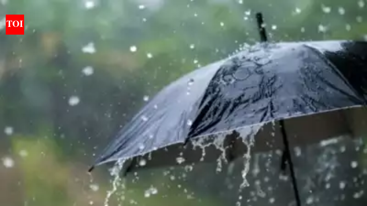 Lucknow Weather: City receives light rain as IMD forecasts partly ...