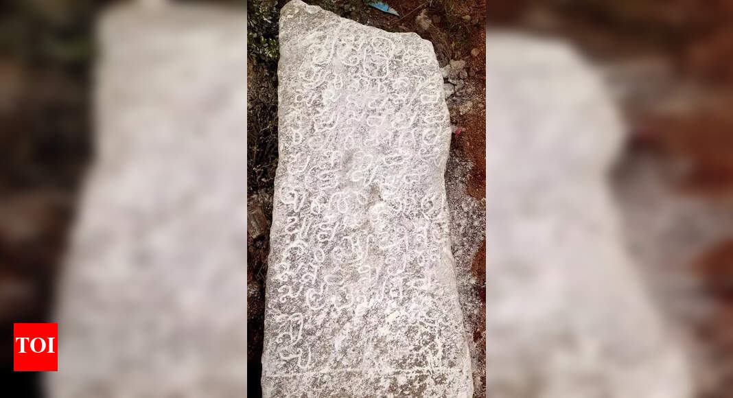4 Telugu inscriptions unearthed in Sircilla and 3 Andhra villages ...