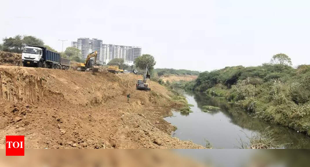 VMC leadership change worries Vishwamitri project experts | Vadodara News - The Times of India