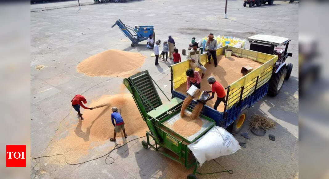 Punjab Mandi Board dashboard for crop data faces prolonged outage ...