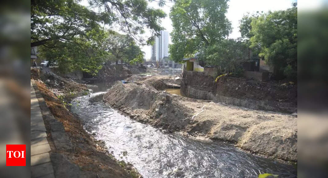 NHAI uses riverbed for infra works, chokes Nag river flow | Nagpur News ...