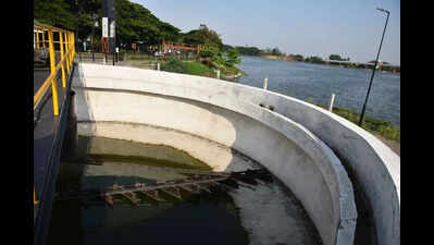 Coimbatore-based NGO’s demo sewage treatment plant turns successful ...