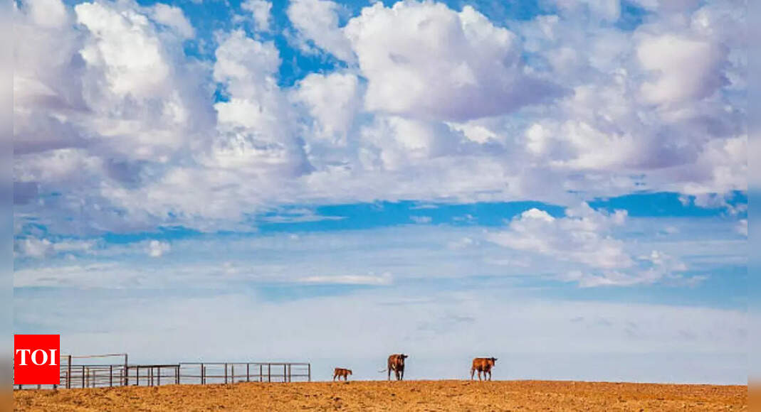 The world’s ‘biggest’ farm is bigger than 49 countries—and is run by ...
