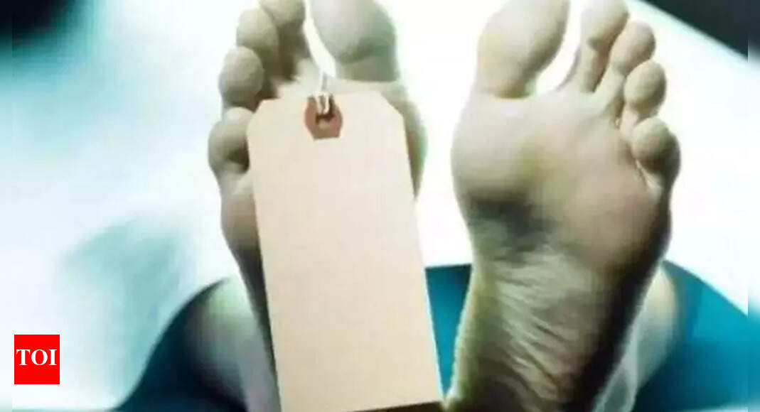 Lineman electrocuted due to wrong shutdown in Jodhpur | Jaipur News ...