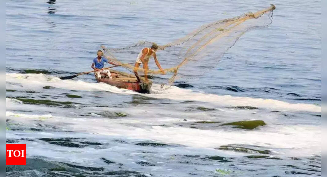 Yamuna River Pollution: Instead of running motorboats, check pollution ...