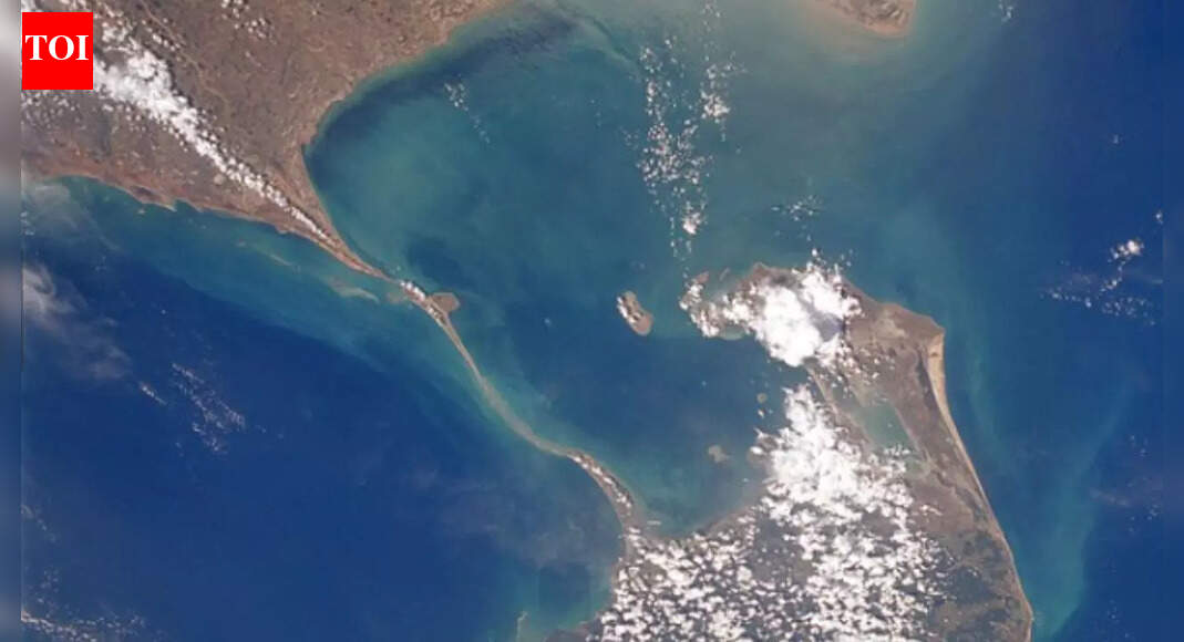 Ram Setu: Floating stones, savage sea, and sacred skill: 5 facts about ...