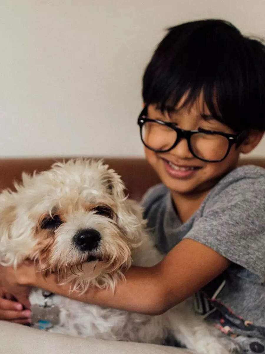 10 friendly pet dog breeds that are great for families with children ...