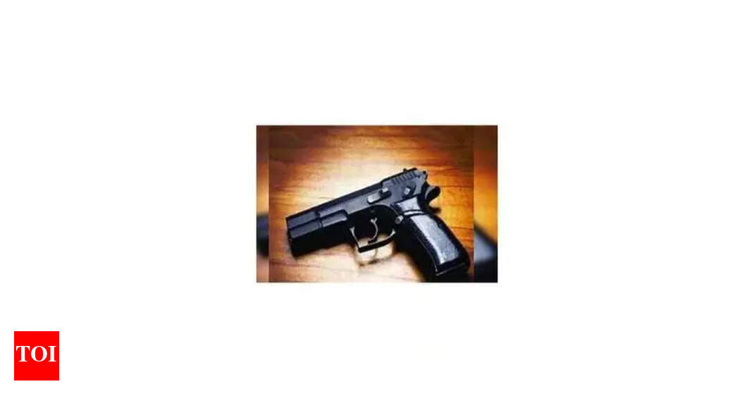 FIR against Haryana resident for carrying pistol with licence not valid ...