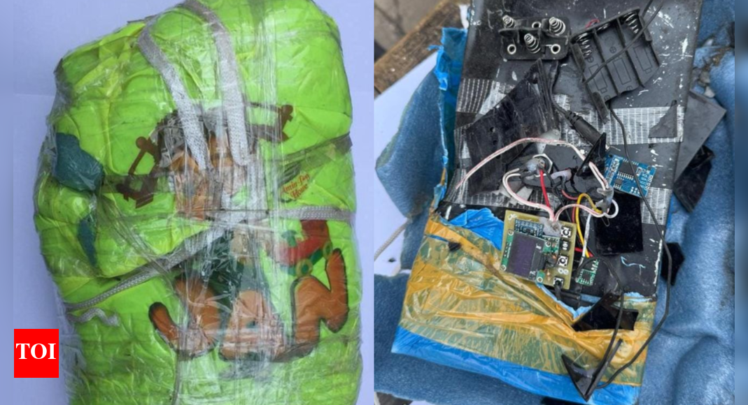 2 operatives of terror module held with IED containing RDX, says Punjab ...