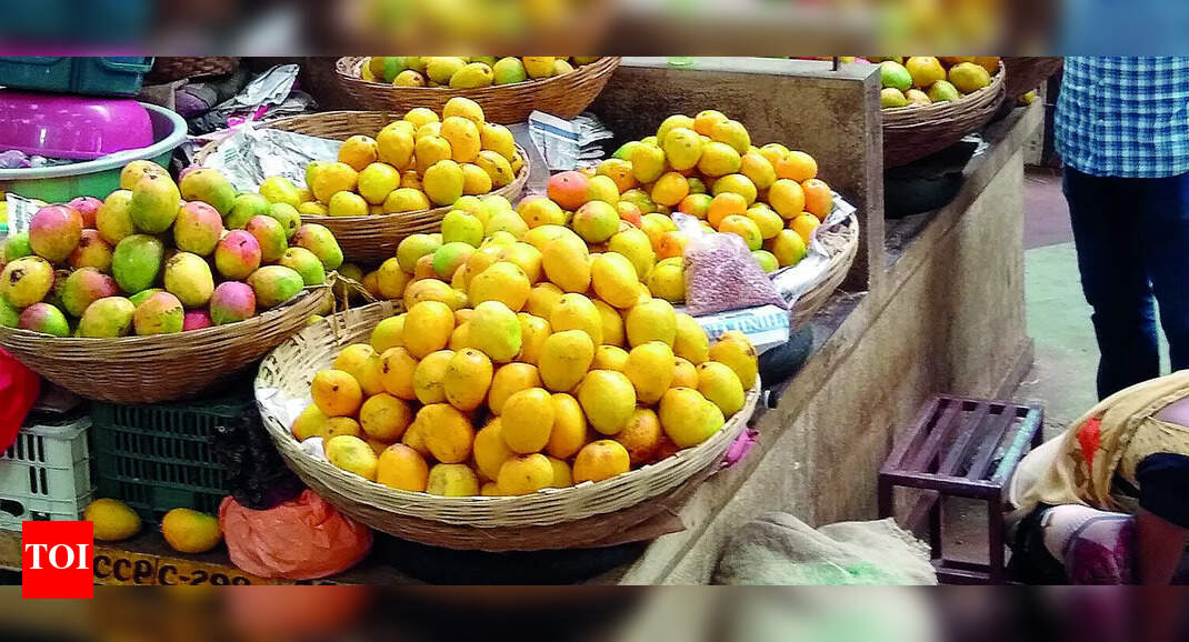 Konkan Fruit Fest 2025: Goa's Premier Gardening & Fruit Showcase | Goa ...