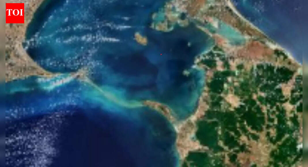 Floating Stones Of Ram Setu Miracle Or Myth