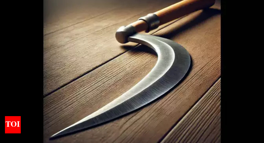 Class 8 Student Attacks Classmate with Sickle in Tamil Nadu Over Pencil ...