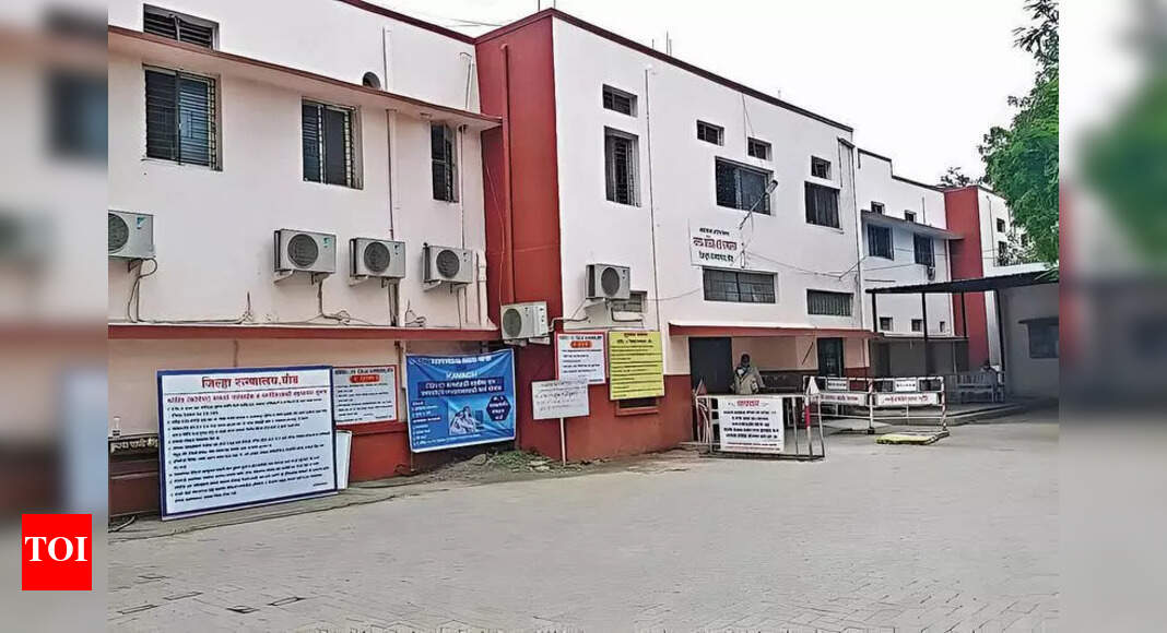 Three-member panel formed to probe two maternal deaths in Beed govt ...