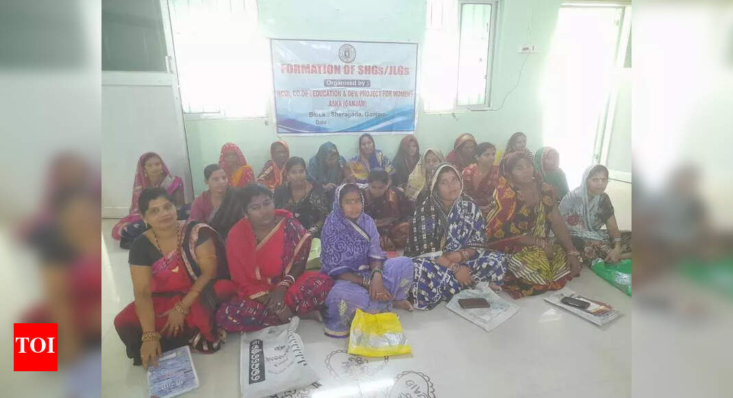 Govt extends interest-free loan scheme for SHGs beyond this fiscal ...