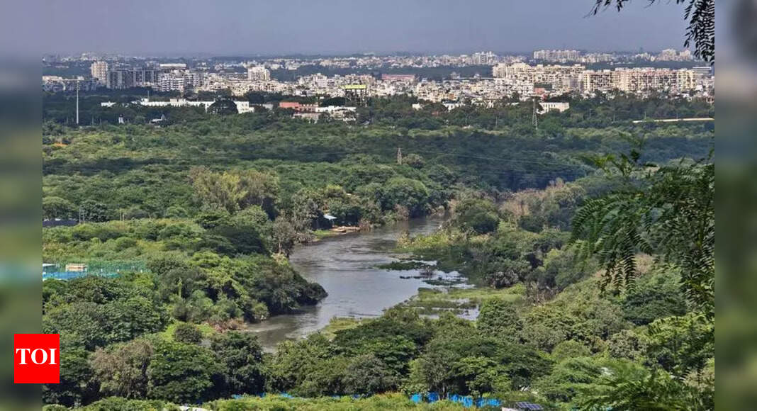 Environmental activists urge Fadnavis to halt riverfront development ...