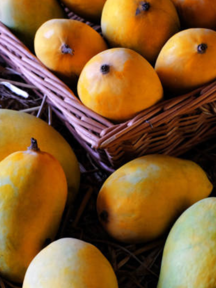 10 delicious mango dishes to savour this summer | Times of India