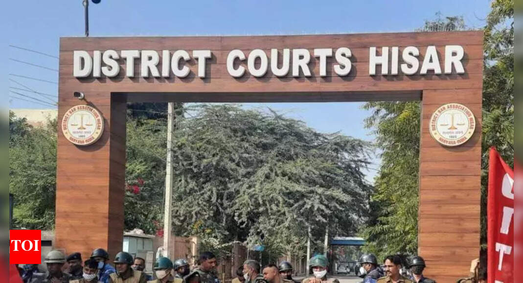 Fake Caste Certificate: Hisar MC: BJP councillor won seat using fake ...