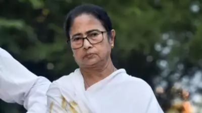 Peace is returning to Murshidabad, no room for politics now, says West Bengal CM Mamata Banerjee ...