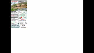 Gargai dam: 2.5k villagers to be shifted, 2L trees to be affected ...
