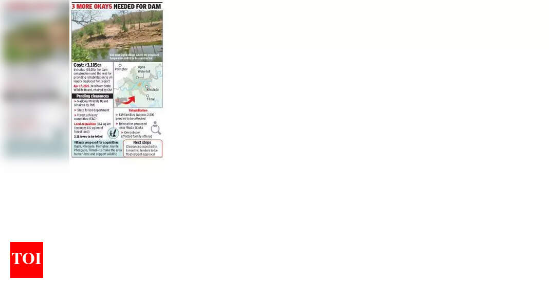 Gargai dam: 2.5k villagers to be shifted, 2L trees to be affected ...