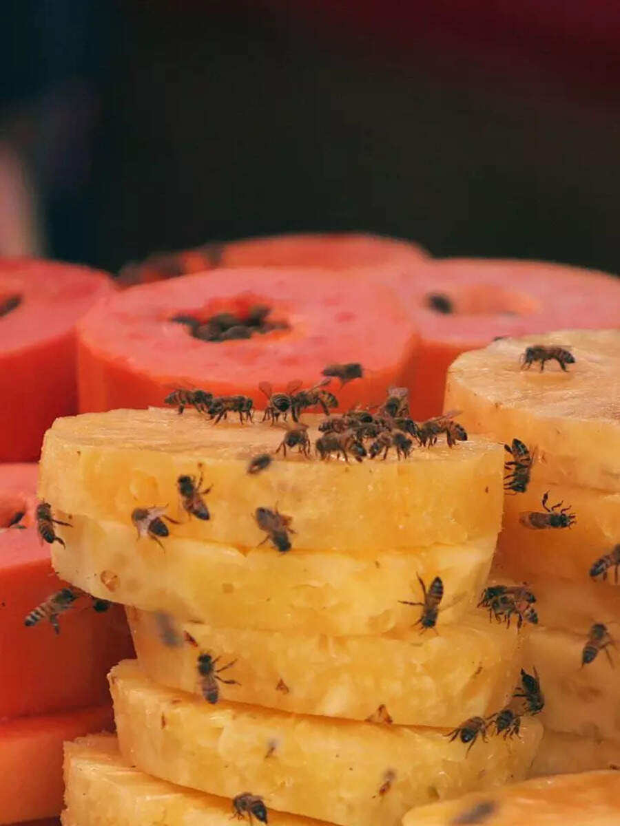 8 tips to remove fruit flies and insects from the home in summer ...