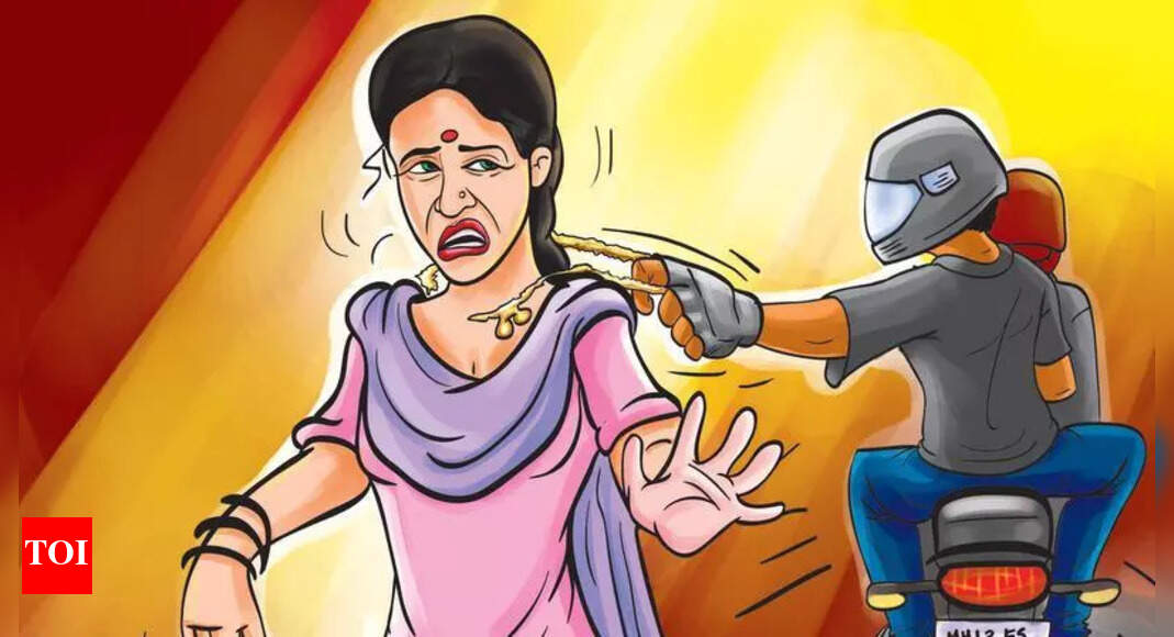 Bikers snatch chain from woman on way to work | Noida News - The Times ...
