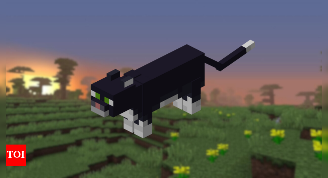 Etleboro.org - How to tame Cats in Minecraft | Esports News - The Times ...