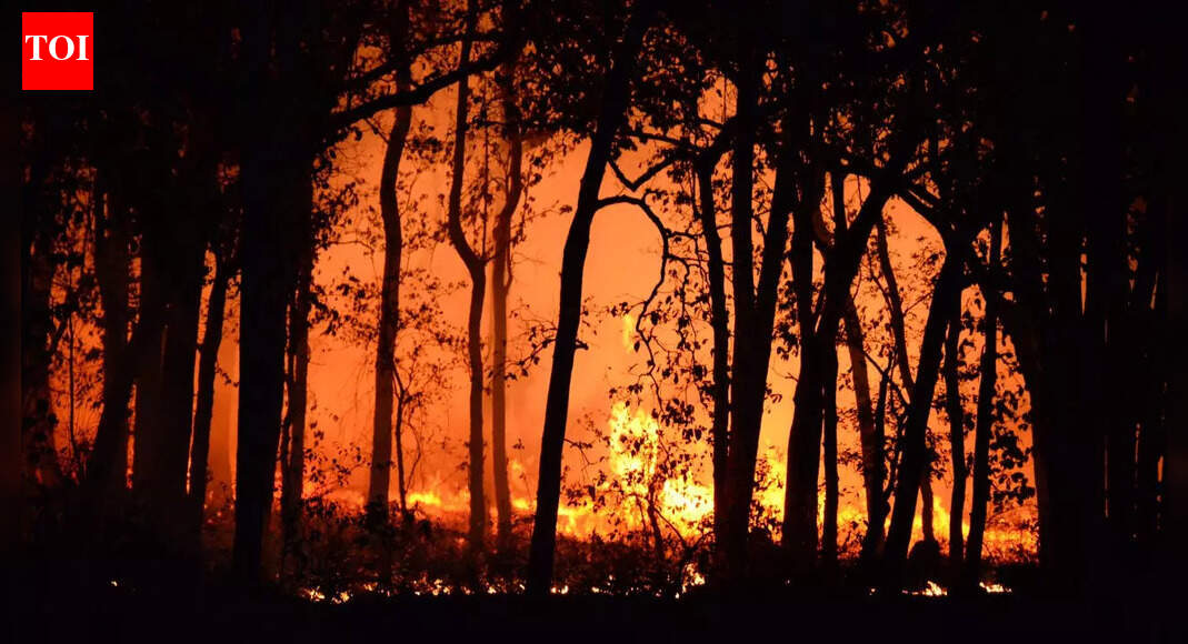 7 Most Destructive Natural Disasters Around The World