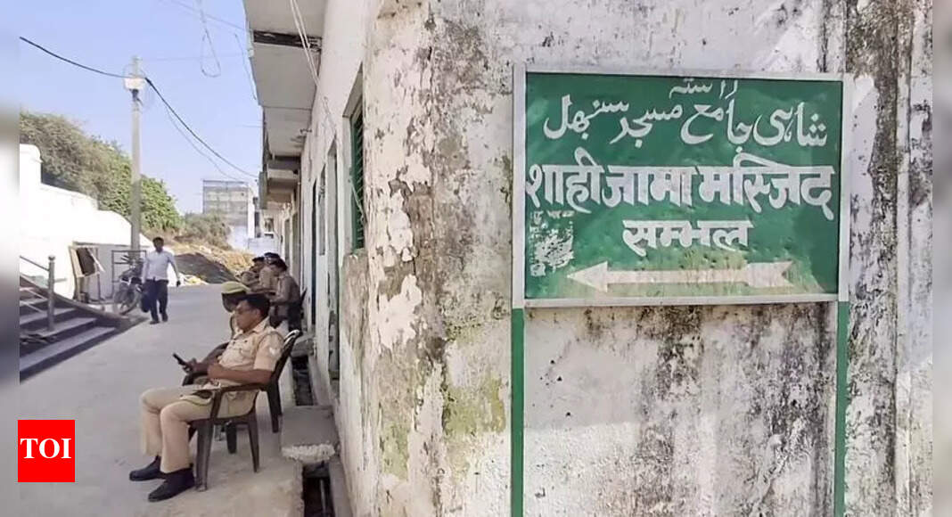 SIT files fresh charges in 2 more Sambhal riots deaths | Bareilly News ...