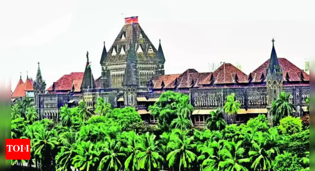 Divorced woman seeking surrogacy referred to SC by Bombay high court | Mumbai News - The Times ...