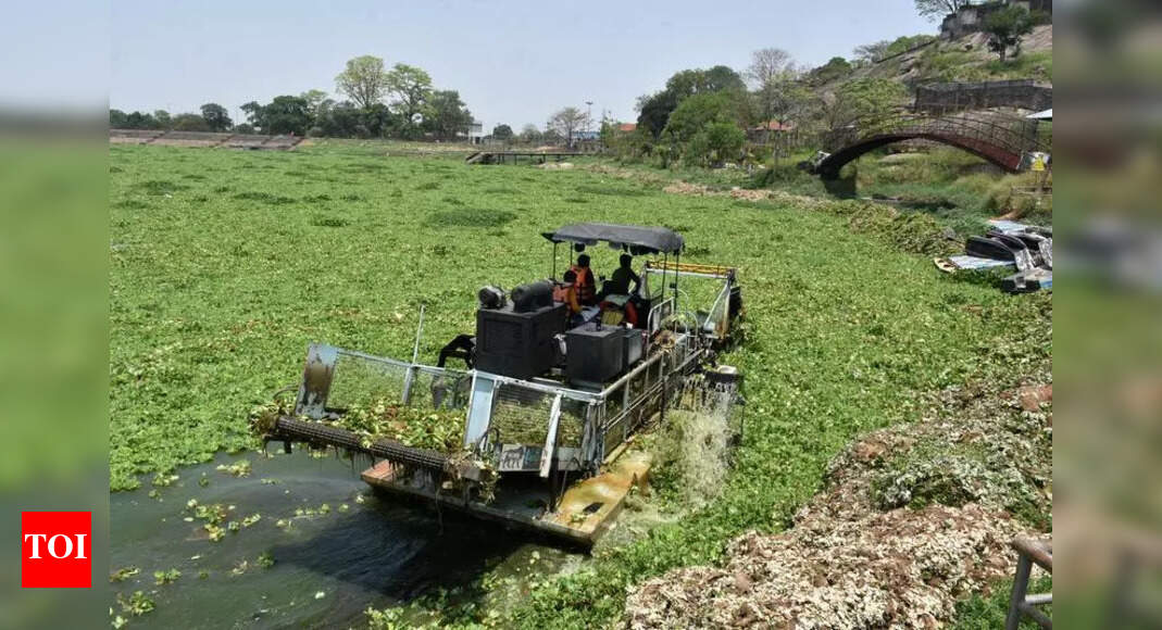 Kanke dam condition pathetic: MP Sanjay Seth | Ranchi News - Times of India