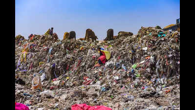 Hamirpur municipal corporation pledges removal of legacy waste; NGT ...