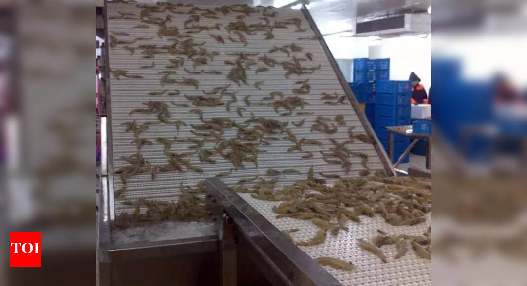 NGT forms panel to probe ‘illegal operations’ at fish processing unit | Bhubaneswar News - Times ...