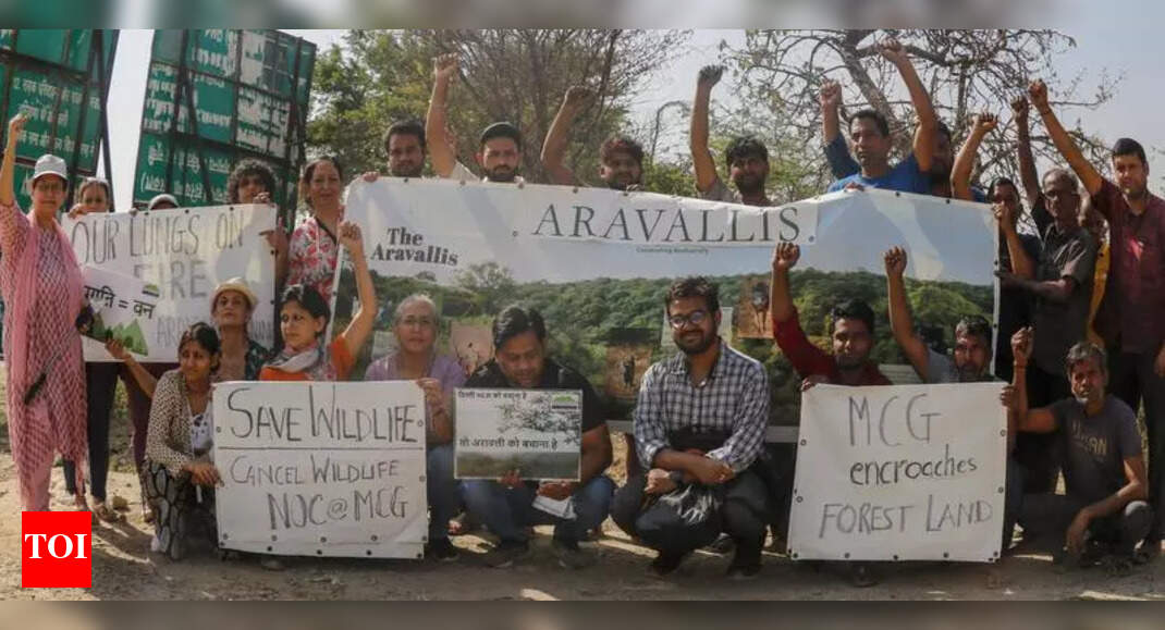 Activists rally to protect Aravali forests, demand drive against ...