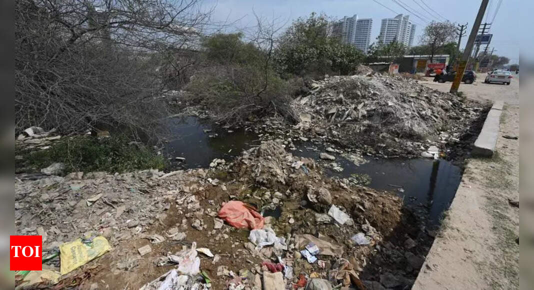 Plea flags garbage dumping in creek off Delhi-Gurgaon Expressway, NGT seeks govt reply - The ...
