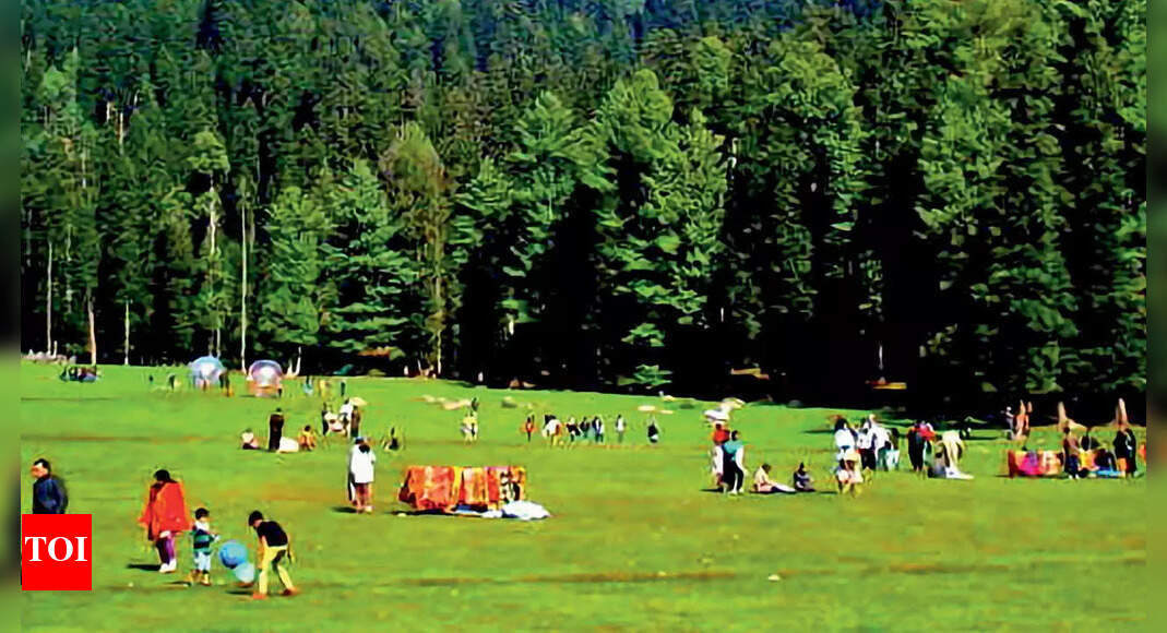 Terrorism and tourism can’t go hand-in-hand: Tour operators - Times of ...