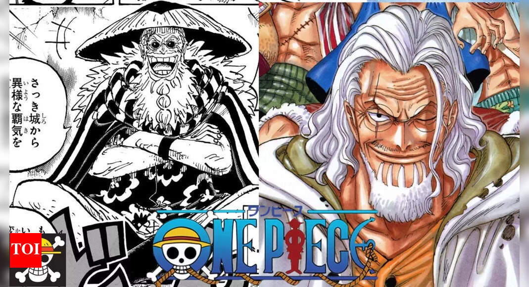 Scopper Gaban vs Rayleigh: Who is stronger in One Piece? | - The Times ...