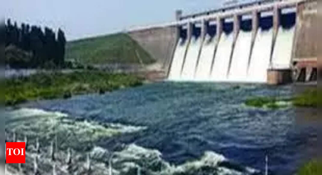Funds allocated for removal of nanal plants in Vaigai: Authorities to ...