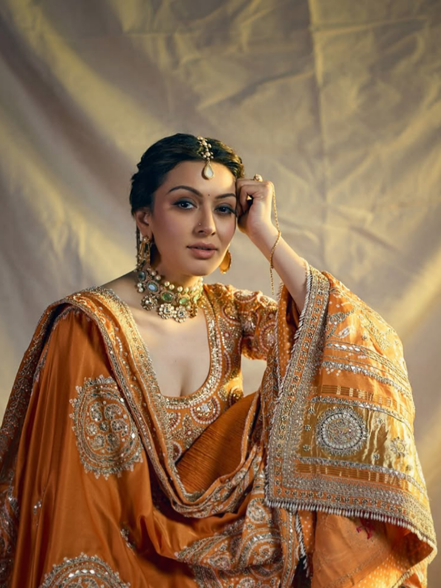 10 stunning ethnic looks of Hansika Motwani | Times of India