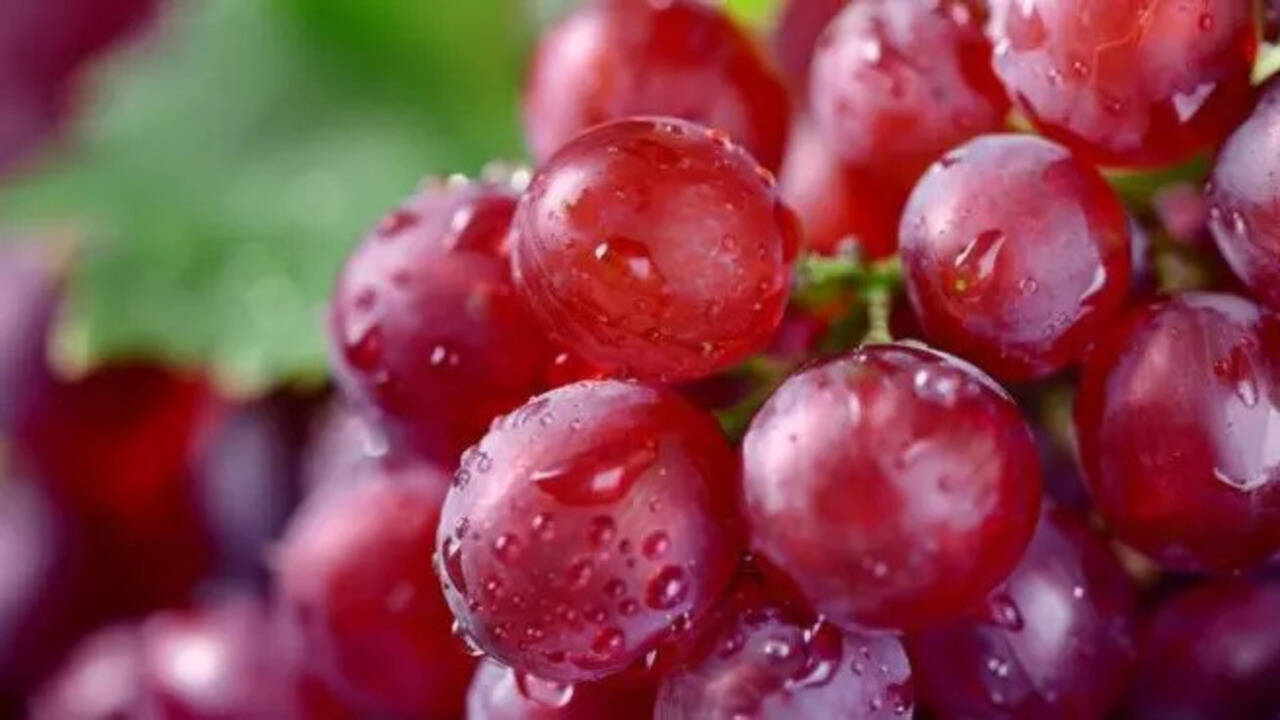 Tiny But Mighty: The Remarkable Health Benefits Of Grape Seeds