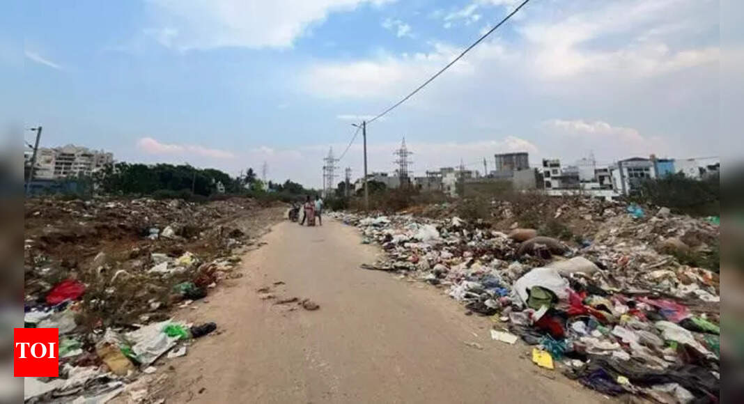 Awash with garbage, this Bengaluru road has no place for pedestrians or ...