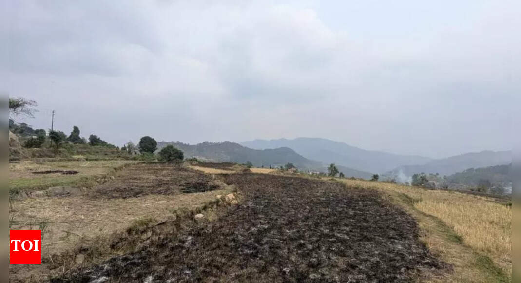 Air quality worsens in Almora and Bageshwar amid forest fires and ...