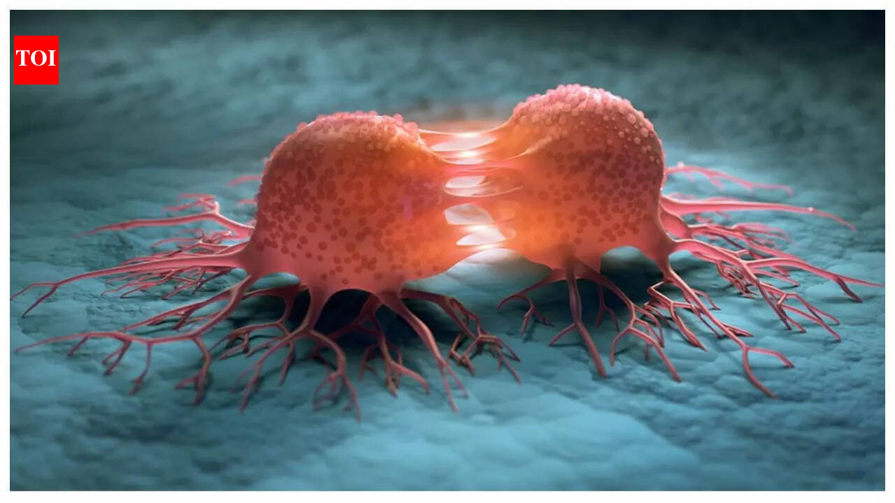 Cancer prevention tips: Beware! Doctors say only 5% of cancers are ...