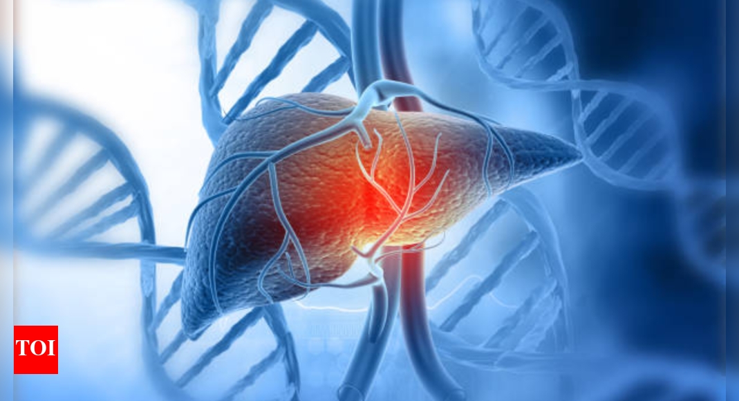 Liver at risk: How alcohol abuse causes lasting damage - The Times of India