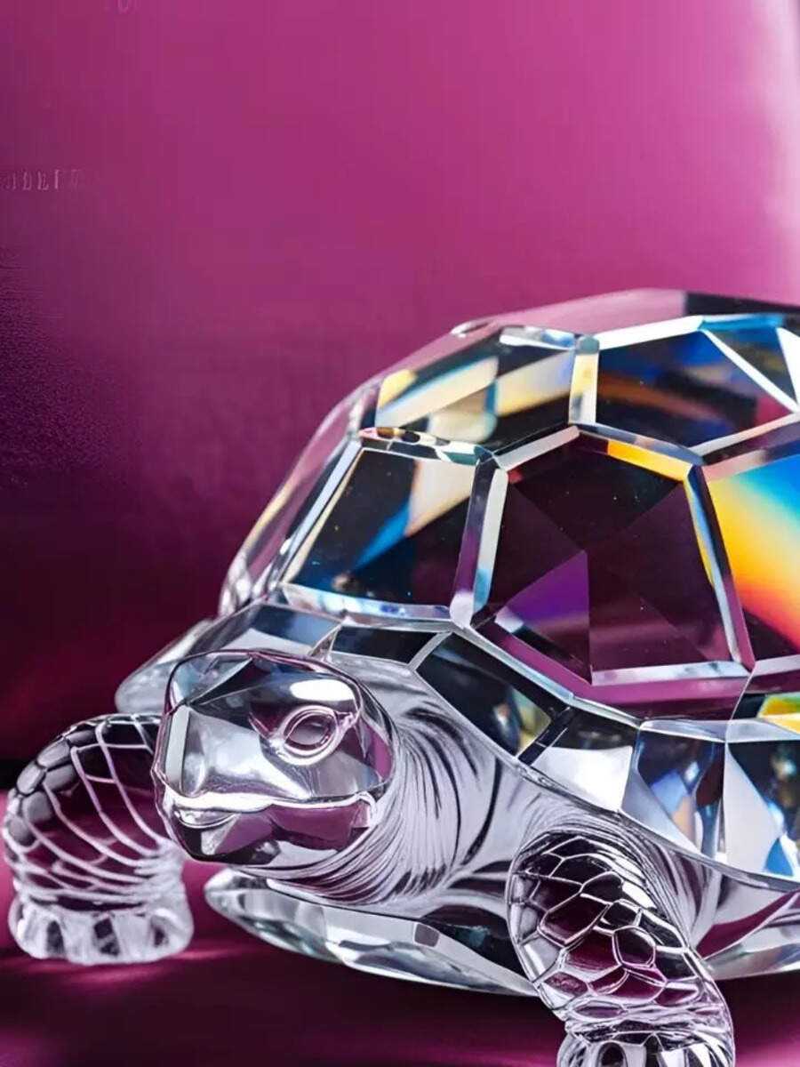 Using a Crystal tortoise as home decor? Placing it as per Vastu can ...