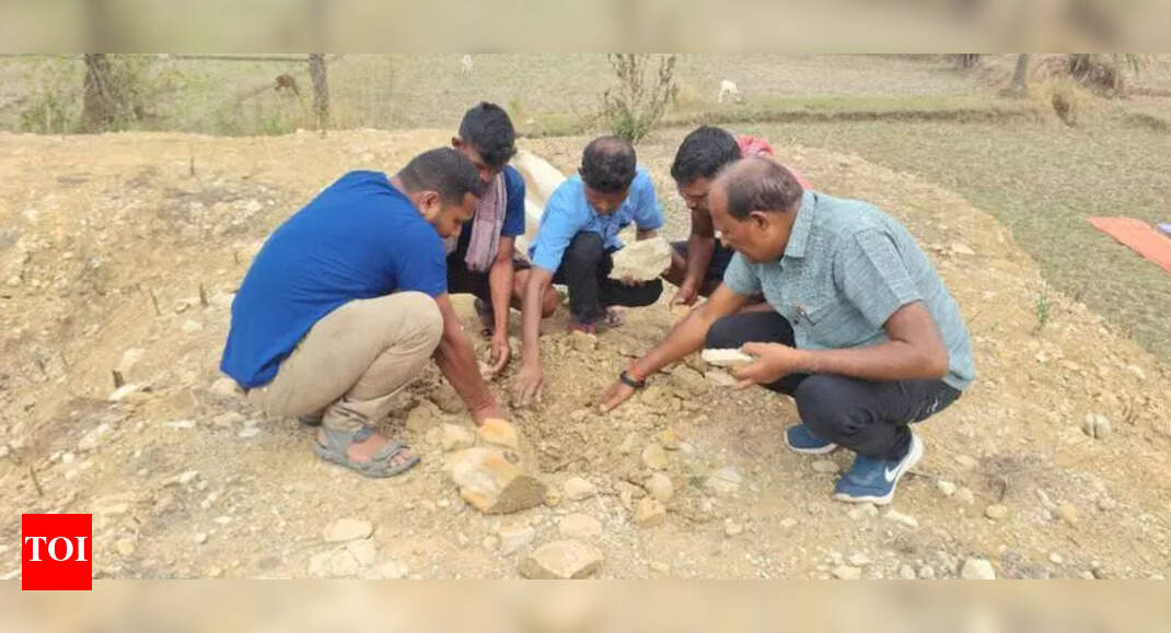 Ancient ptilophyllum fossils found in Rajmahal Hills | Ranchi News ...