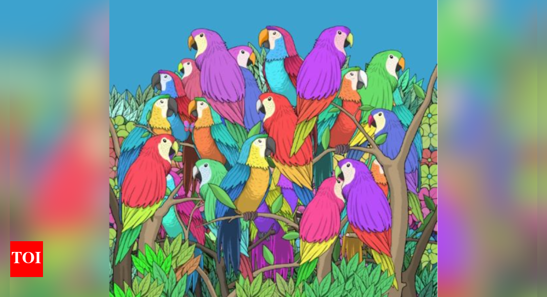 Optical illusion: Only a person who has great creativity can spot the ...