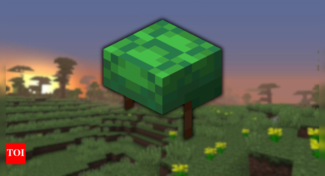 How to get a Turtle Shell in Minecraft | Esports News - The Times of India